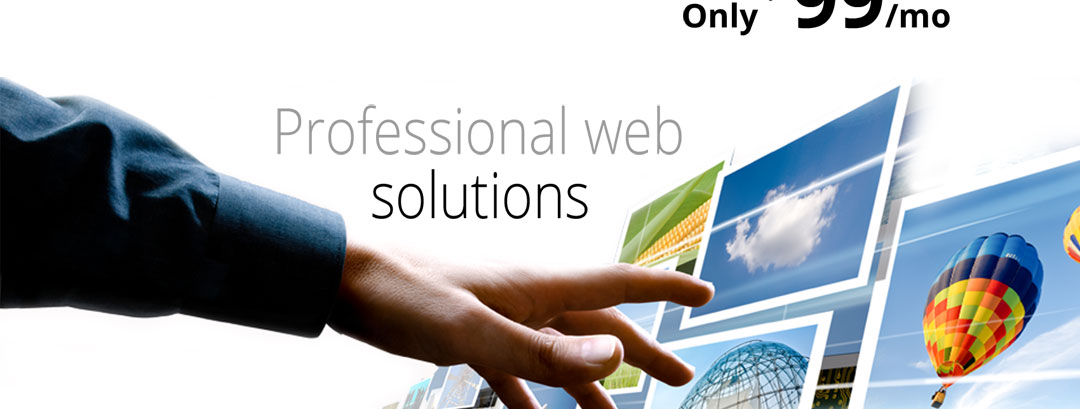 Local Website Design Inc - 99 Dollar Websites